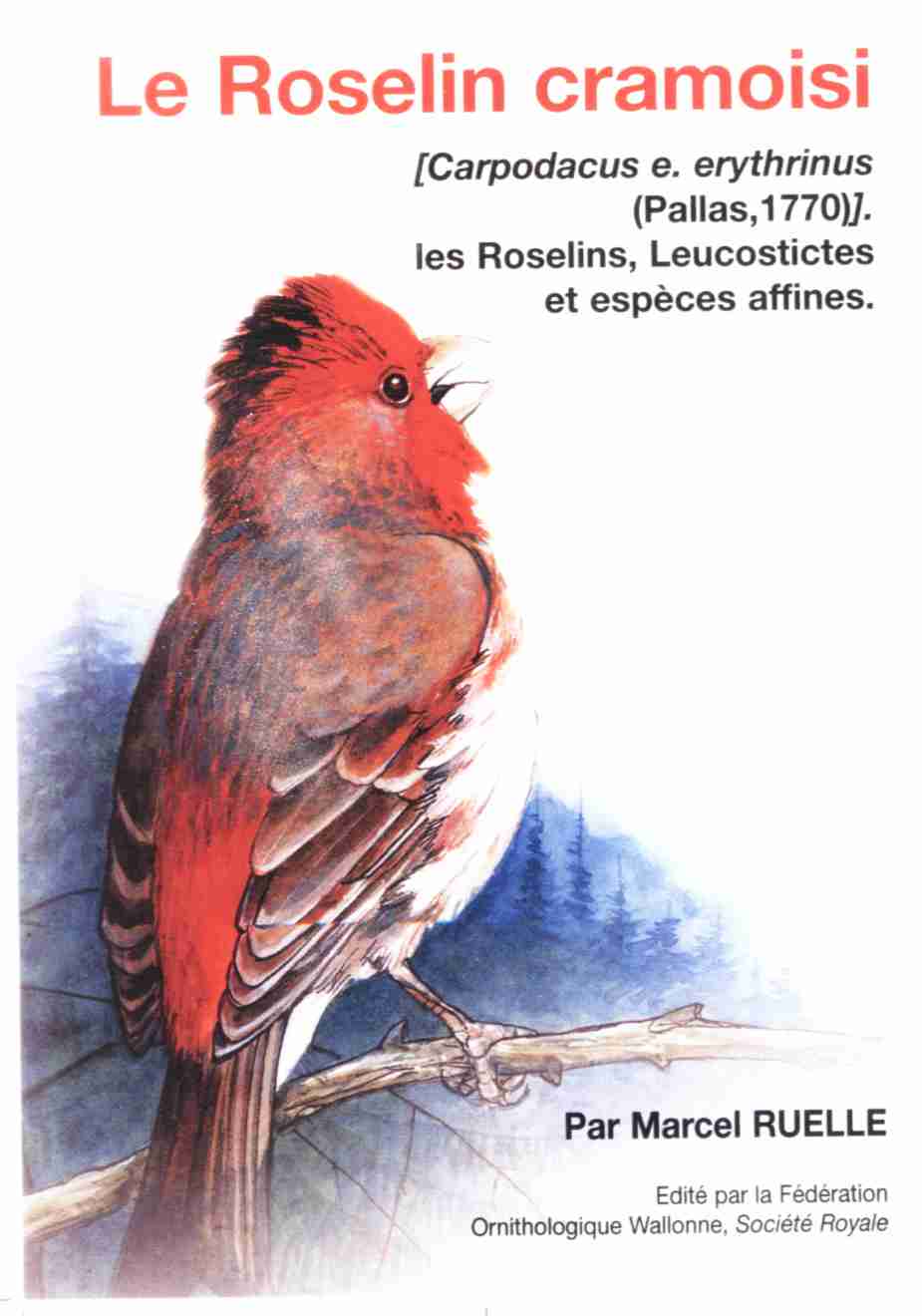 roselin | Eleveur de Carduelines ...